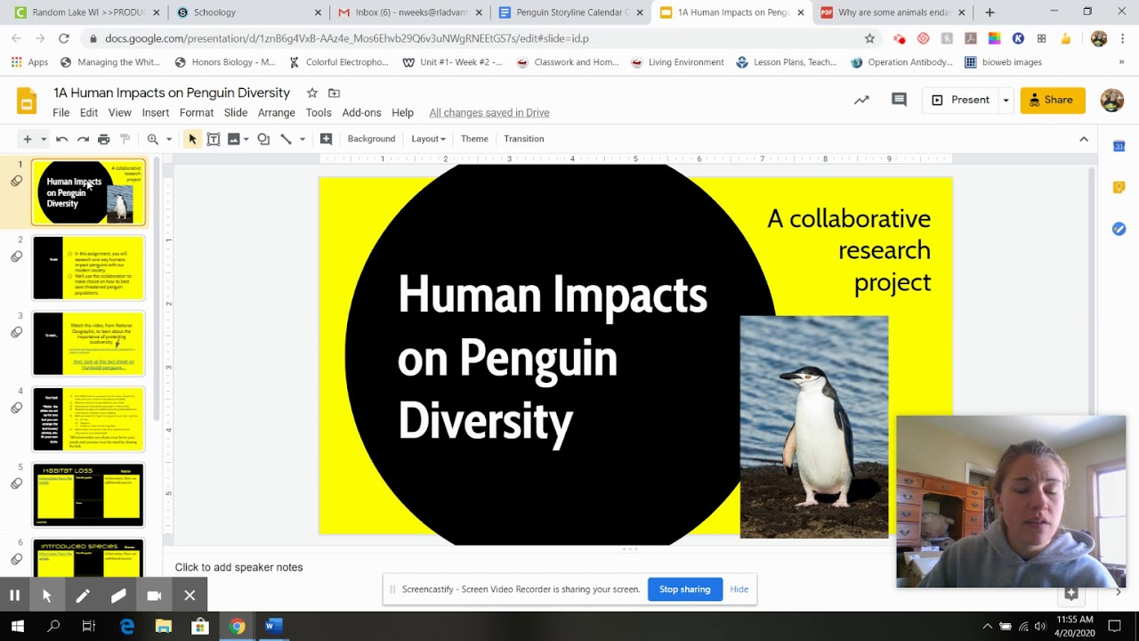 Penguin Research Project Instructions - YouTube