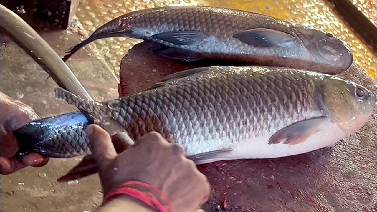 Amazing Cutting Skills | Popular Rohu Fish Cutting Skills In Fish ...