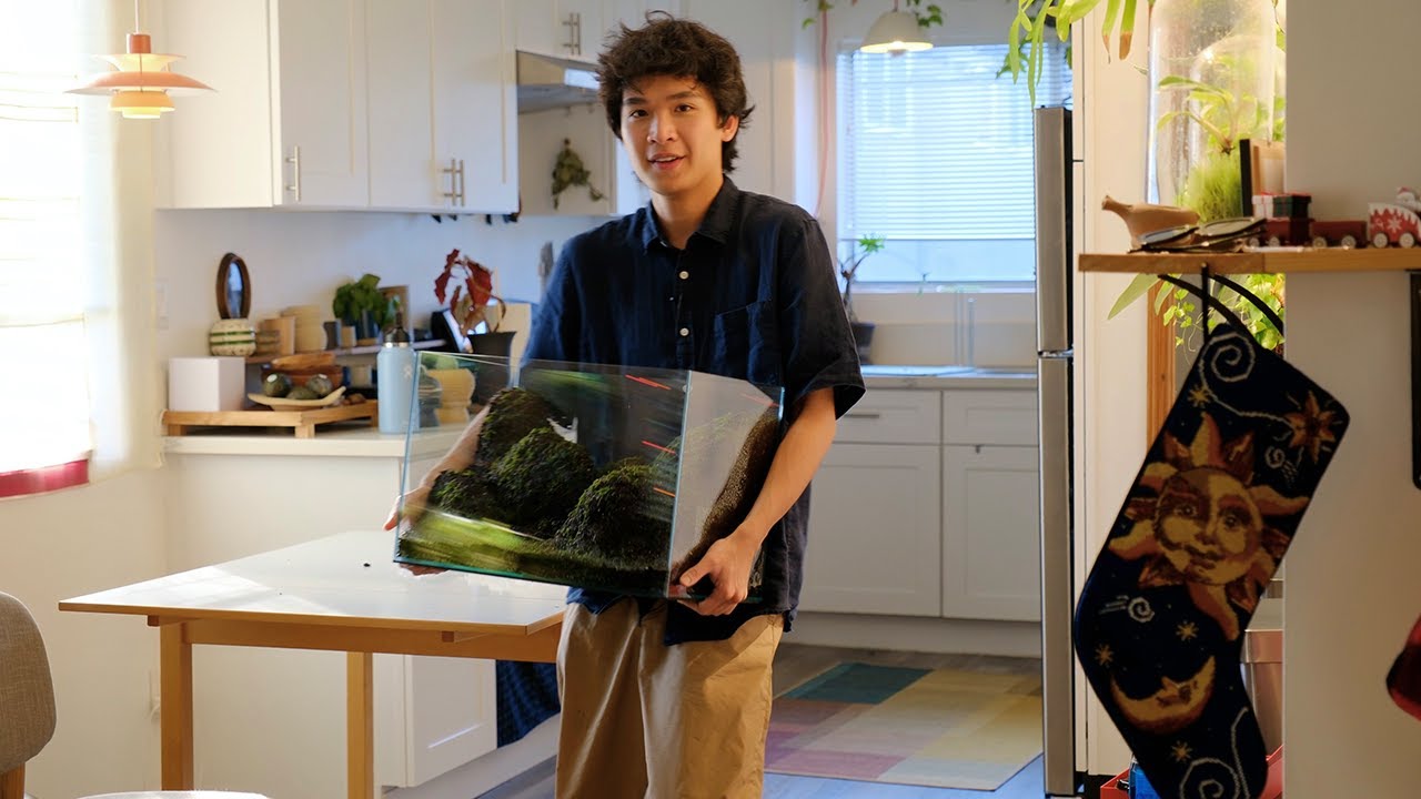 Bookshelf Moss Terrarium | making a terrarium in my bookshelf - YouTube