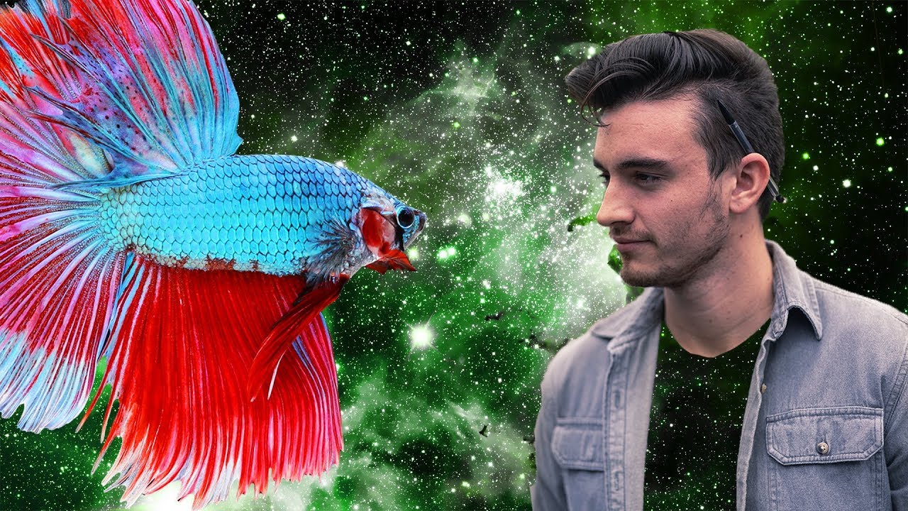 Trying To Save My Pet Fish! *Weird Vlog - YouTube