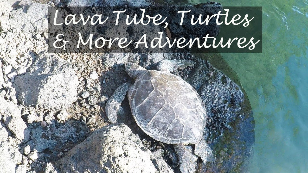 Hawaii Adventures | Volcanoes National Park, Lava Tube & Turtles - YouTube