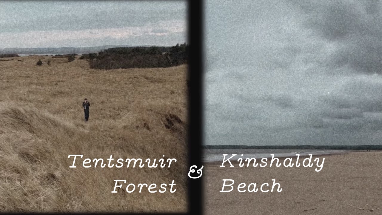 Walk at Tentsmuir Forest and Kinshaldy Beach - YouTube