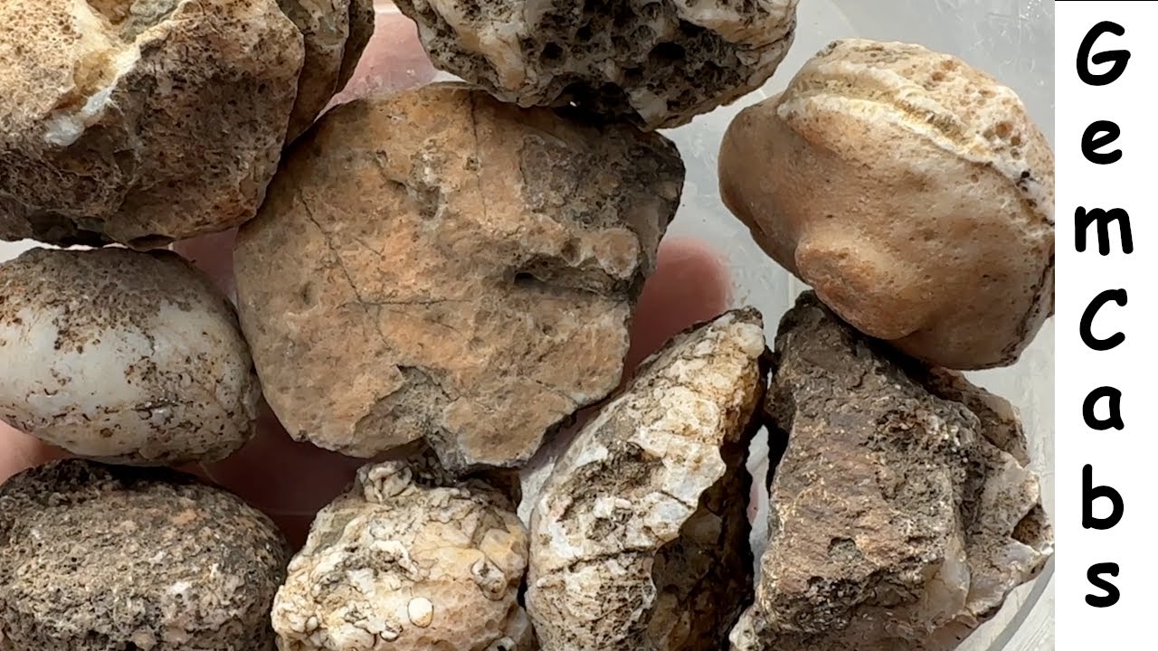 Group of Arizona Agates Cut Open to Reveal the Beauty Inside 11 18 24 ...