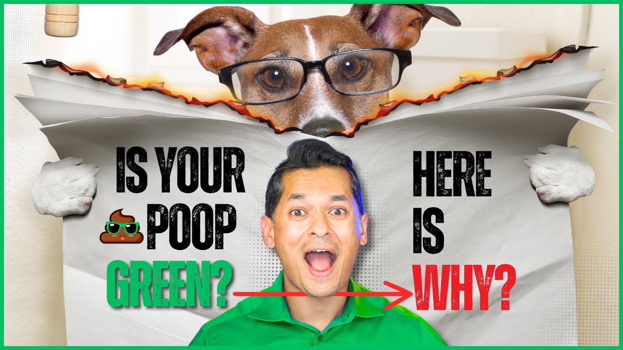 Why Is Your Poop Green? Shocking Causes and When to Worry! - YouTube