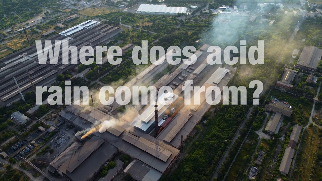 Atmospheric Pollution: Acid Rain | Everything You Need for GCSE ...