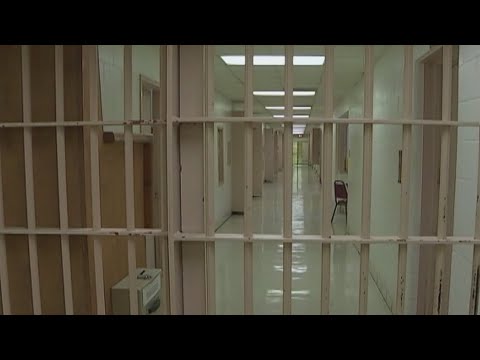 Cook County Public Defender Sharone Mitchell weighs in on SAFE-T Act's ...