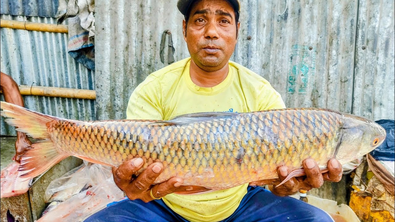 Incredible Golden Grass Carp Fish Cutting Live In Indian Fish Market ...