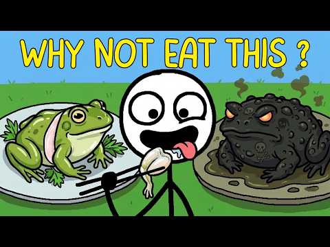 Why Do People Eat Frogs But Never Toads?