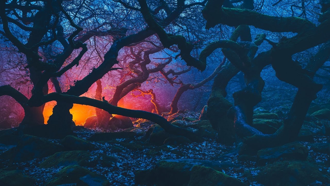 Deep Ambient Techno Mix #14: Rebirth - YouTube Music