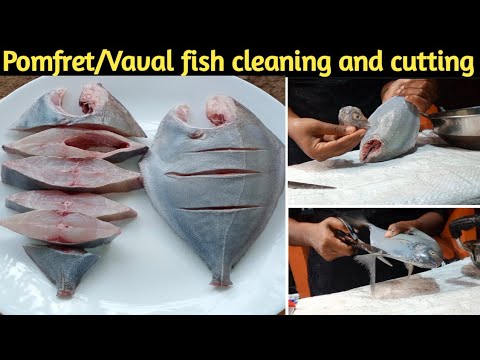 How to CLEAN and CUT POMFRET FISH in Tamil|VAVAL Meen sutham seivathu ...