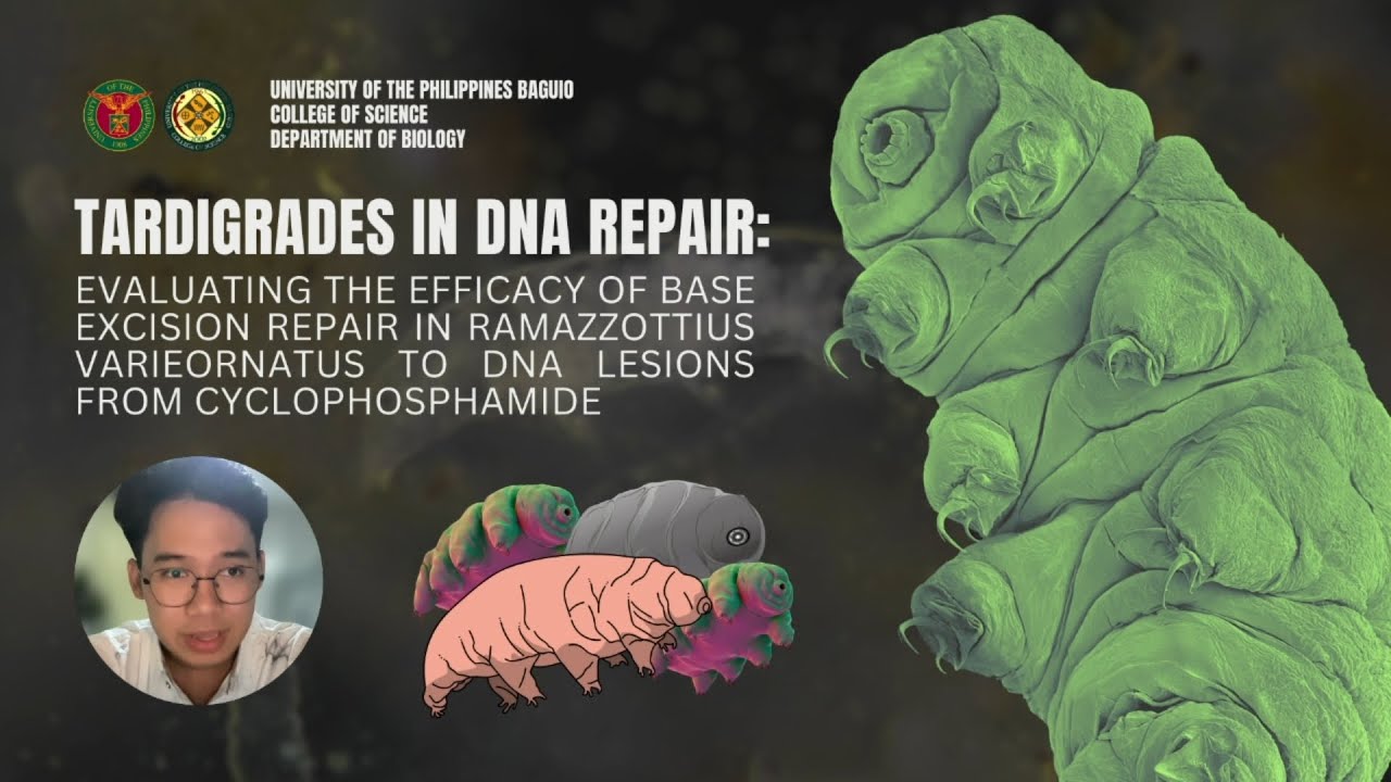TARDIGRADES-IN-DNA-REPAIR_REYES_BIO198-DF1_VIDEO - YouTube