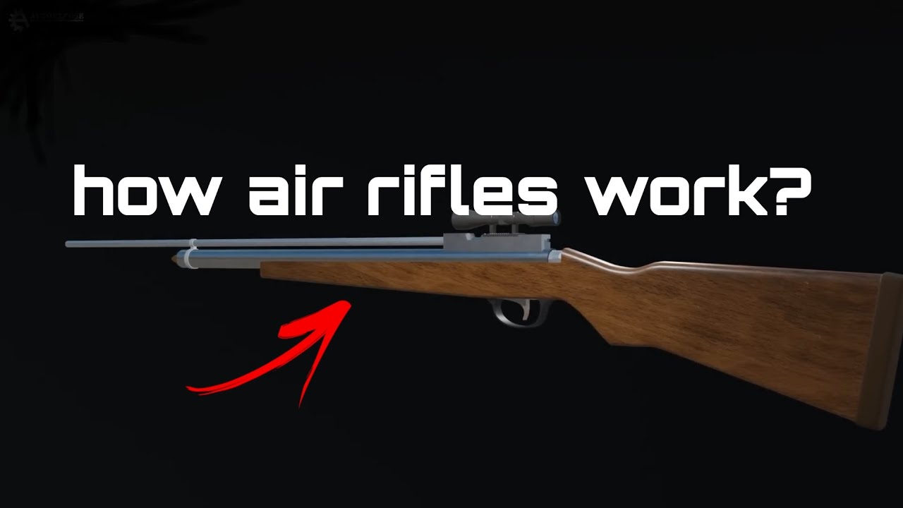 How Air Rifles Works? (3D Animated) - YouTube