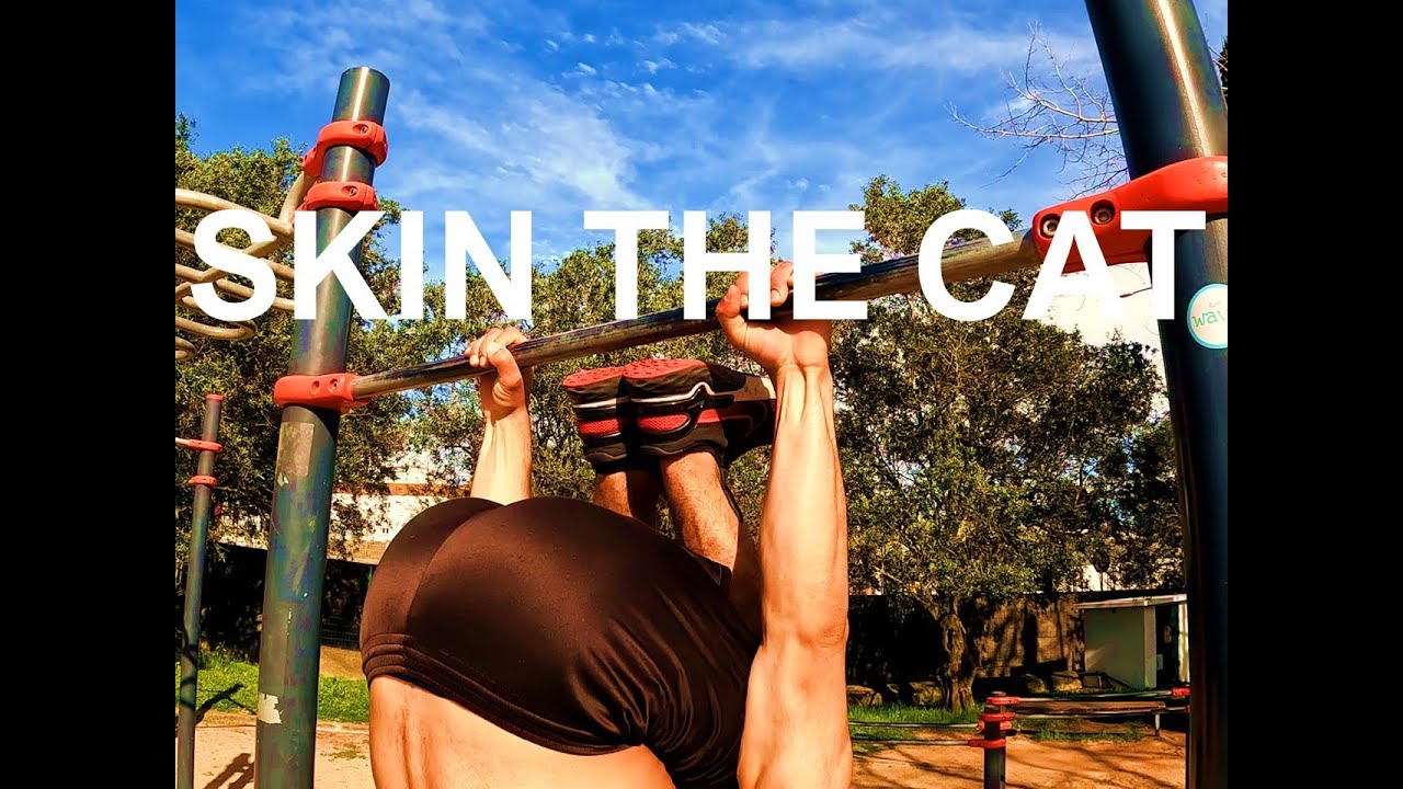 Crossfit Skin The Cat: Exercice Skin The Cat – LTAX