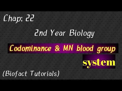 Codominance & MN blood group system 2nd year biology || Chap;22 - YouTube