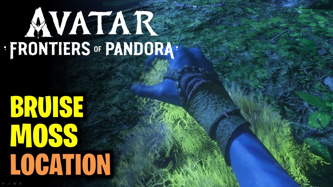 Teachable Moment: Bruise Moss Location | Avatar Frontiers of Pandora ...