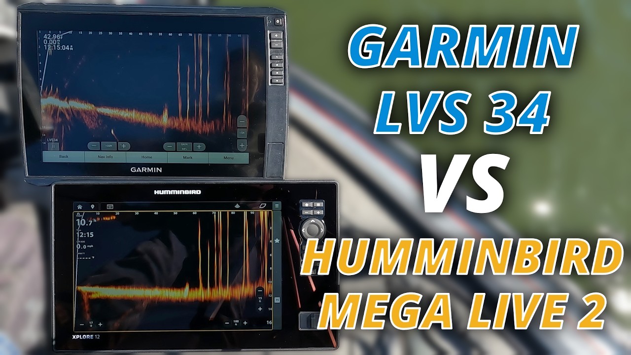 Mega Live Vs Livescope