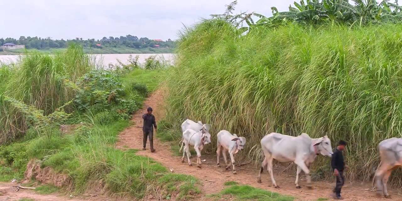 Phnom Penh Veiw HD by Canon 7d raw - YouTube