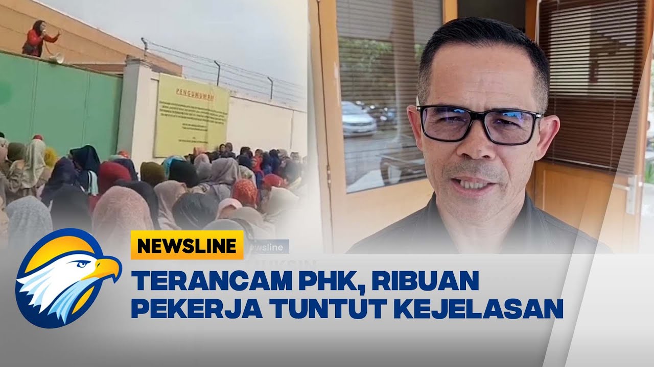 Divonis Pailit, Ribuan Karyawan Terancam PHK - [Newsline] - YouTube
