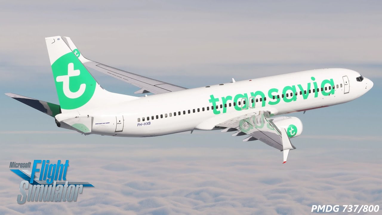 [FR] Vol Transavia ( Paris Orly-Minorque ) LFPO-LEMH [ PMDG 738 ] (2020 ...