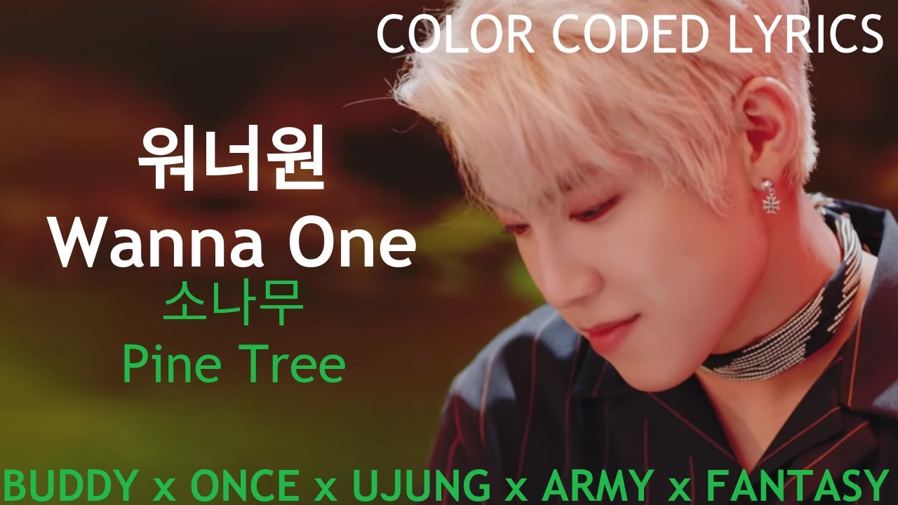 워너원 (WANNA ONE) _ 소나무 (Pine Tree) | 가사 (Lyrics) - YouTube
