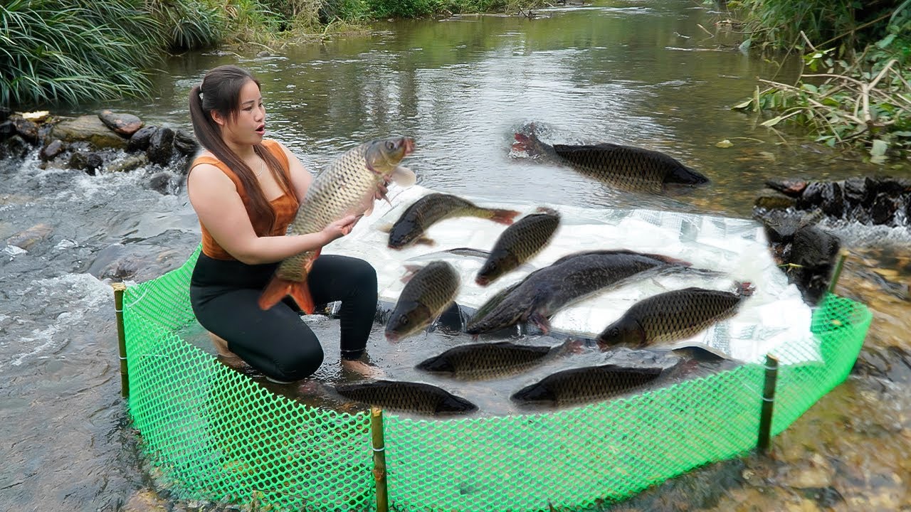 The girl's unique way of trapping fish and surprisingly she caught a ...