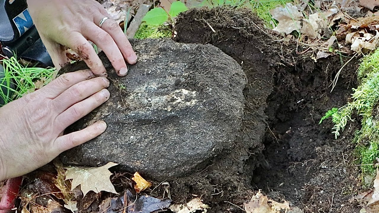 Being under the rocks for 200 years kept this thing preserved wow ...