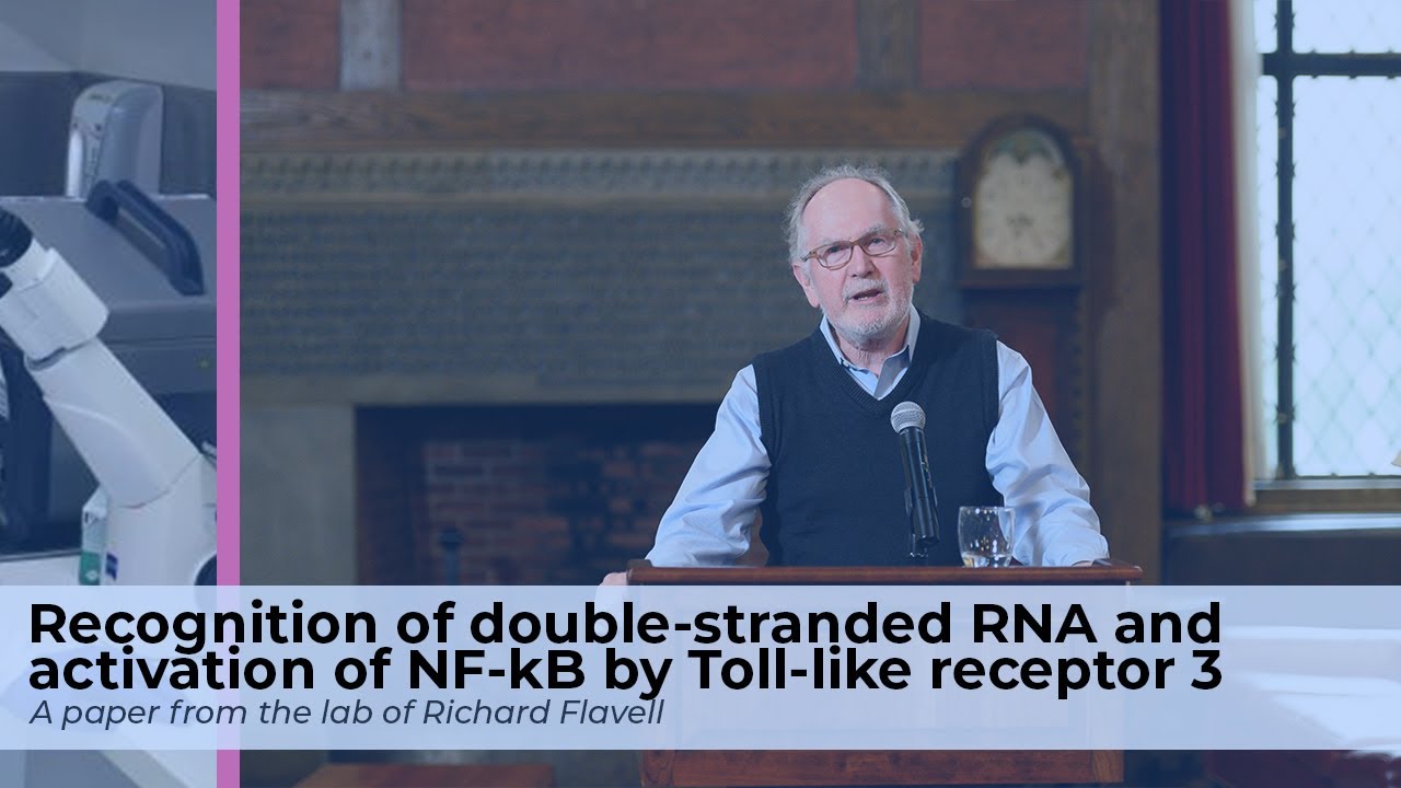 Richard Flavell, Double Stranded RNA & the Activation of NF-B by Toll ...