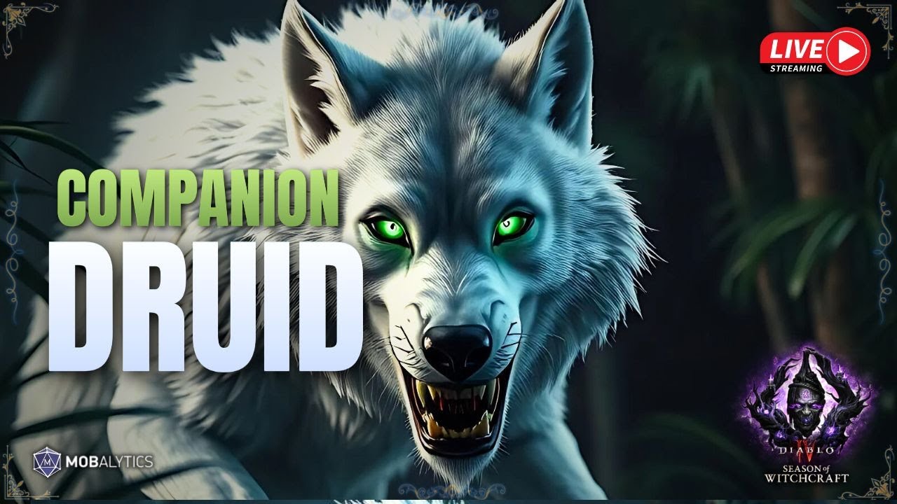 [Diablo 4] Companion Druid || Season 7 || Part 1 - YouTube