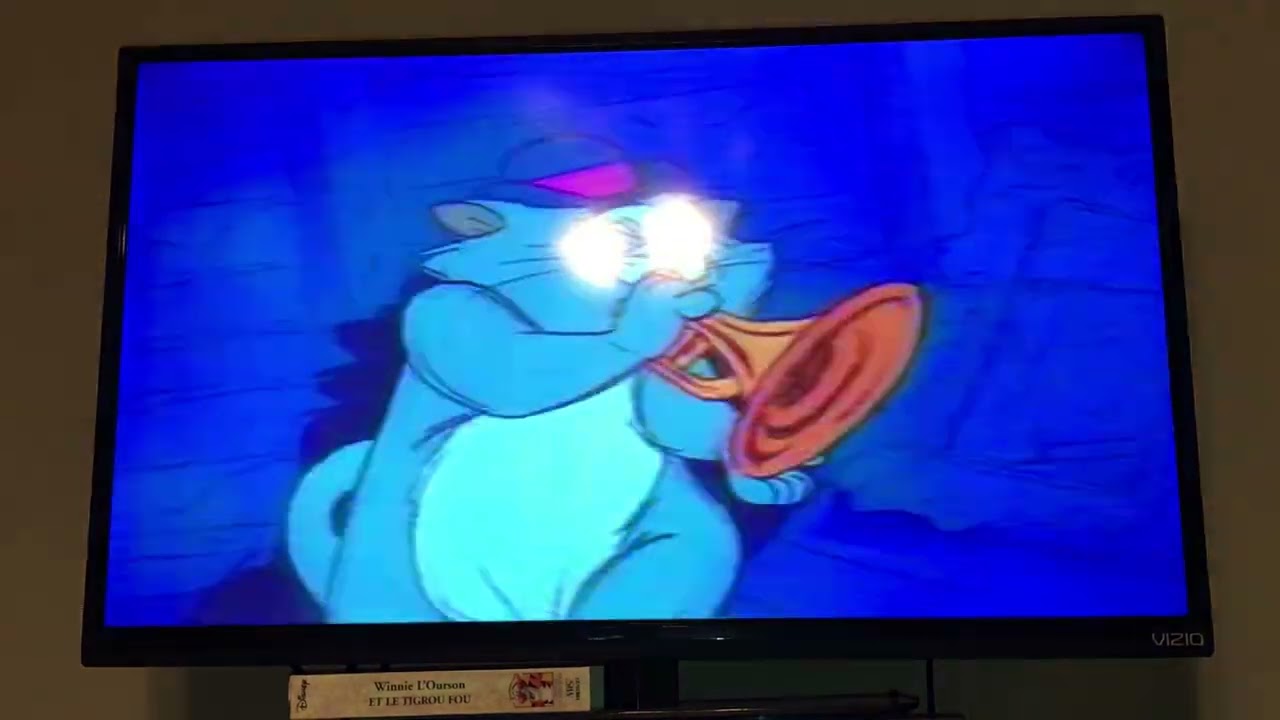 Opening To Winnie The Pooh And Tigger Too 2000 VHS (French Canadian ...