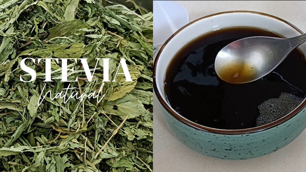 STEVIA Líquida Natural Casera - YouTube