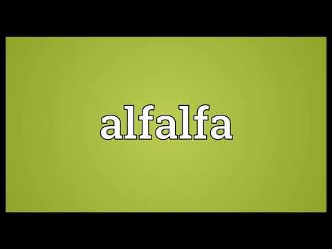 Alfalfa Meaning - YouTube
