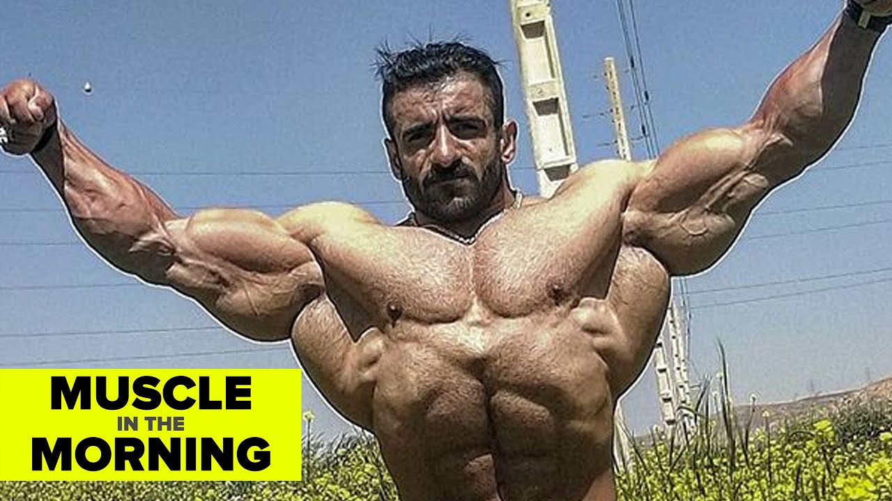PERSIAN WOLF SIGHTING! Muscle in the Morning (6/3/19) - YouTube