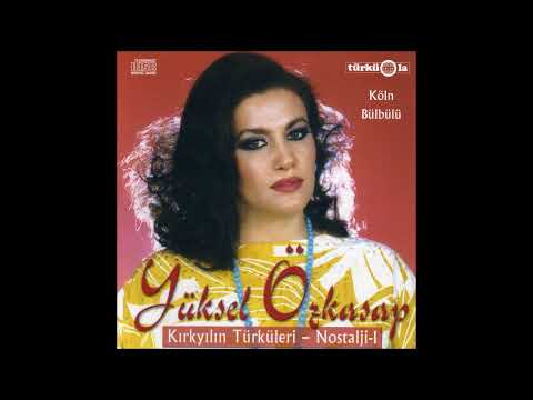 Yüksel Özkasap Almanya ya  mecbur ettin