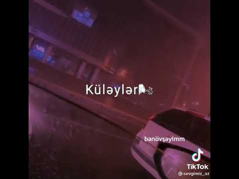 🤎🕊️Whatsapp üçün maraqlı statuslar sevgiyə aid video Sounds App 2021 Status üçün video mənalı