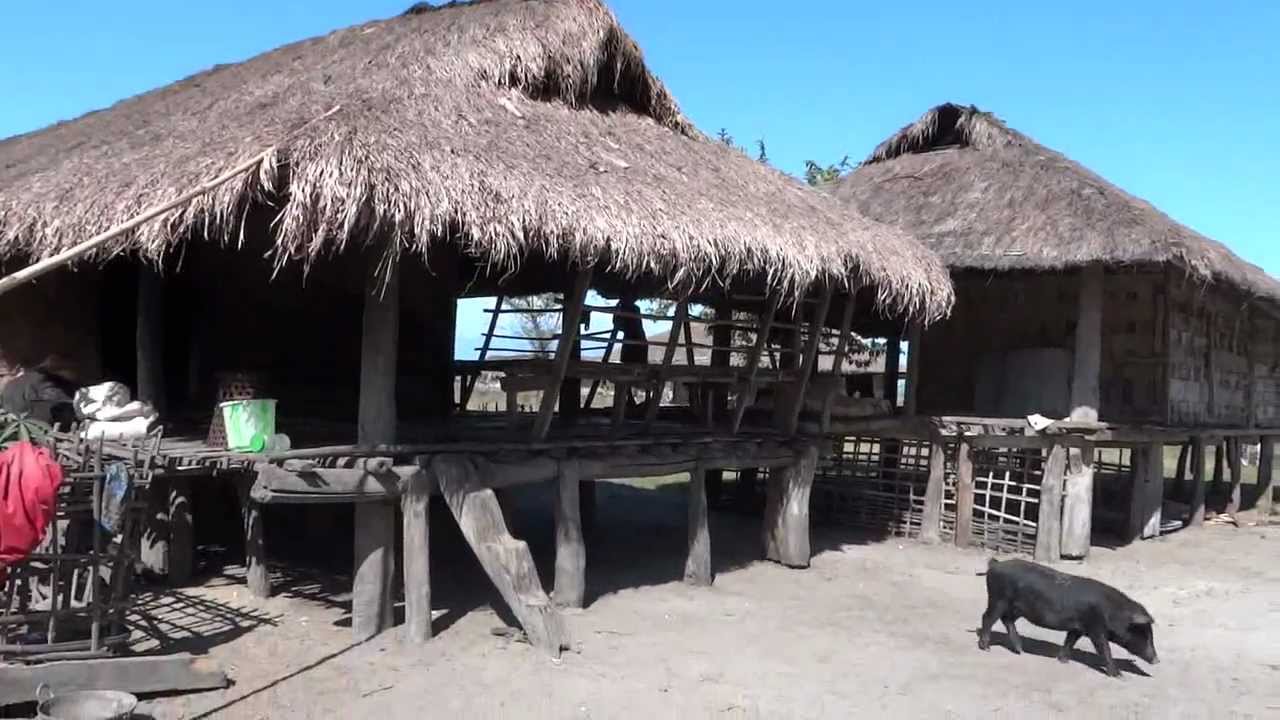 Mishing Tribe House - YouTube