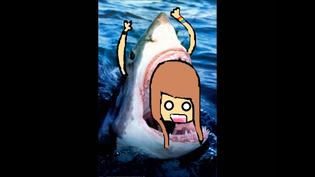 IMMA SHARK - YouTube