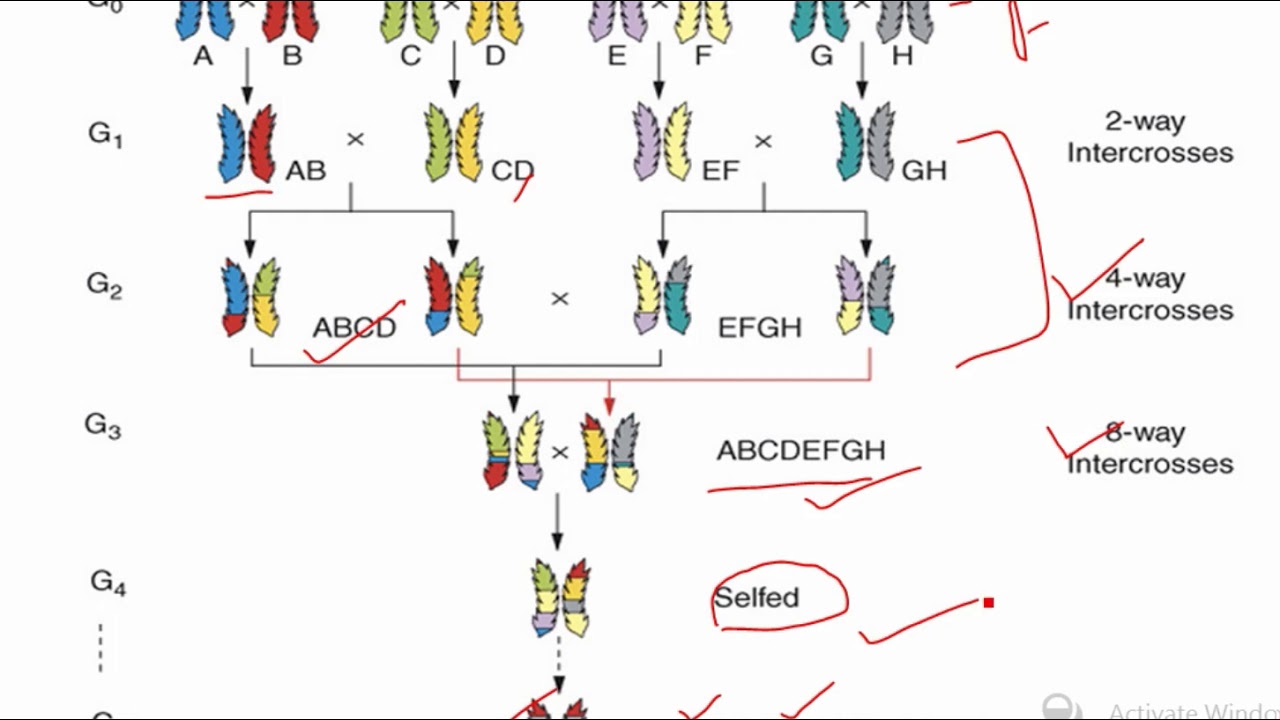 Lecture on MAGIC Line Part 2 | Vikas Mangal (Scientist, CRIJAF ...