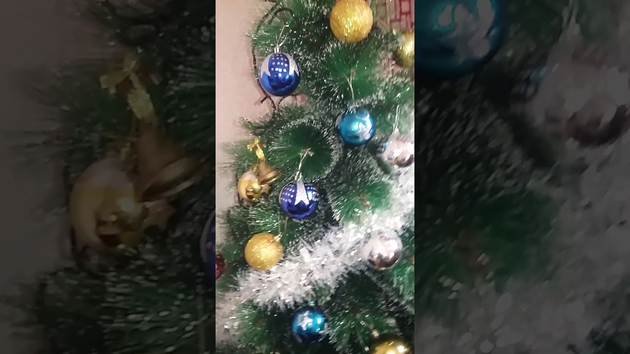 Bredhi I vitit te ri - YouTube