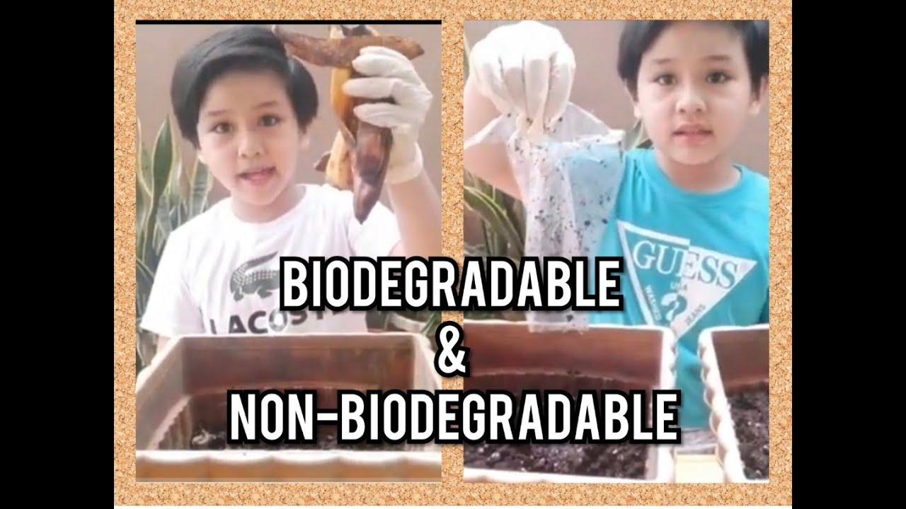 Biodegradable and Non -Biodegradable Experiment - YouTube