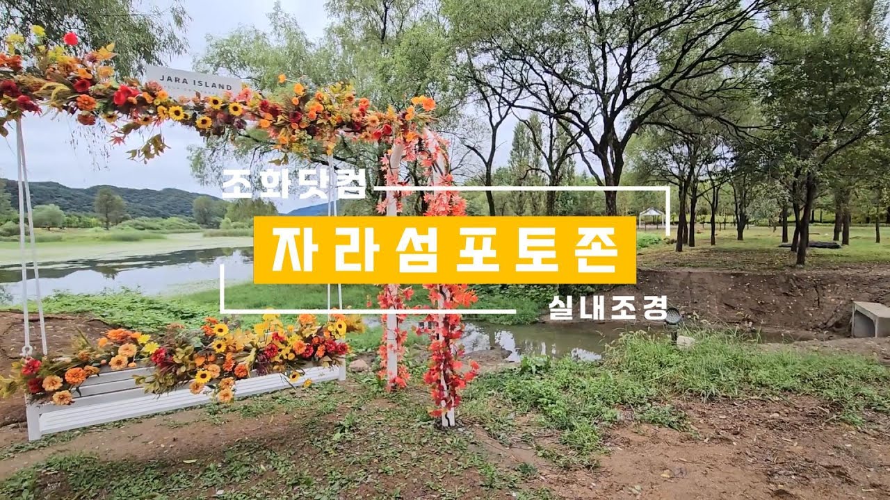 자라섬 포토존 조화장식 포토존꽃장식 조화꽃장식 포토존제작 조화포토존 조화조경 인조조경 조화장식 인조조경 행사조경 Youtube