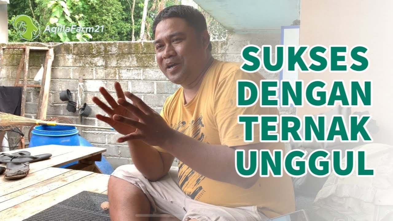 PETERNAK KAMBING PEMULA, WAJIB BELAJAR KE GIBRAN FARM - YouTube