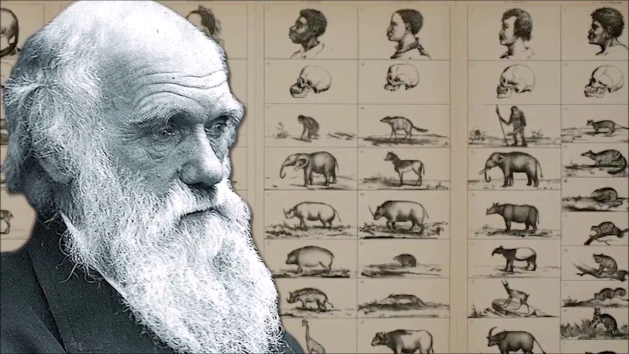 Charles Darwin was Wrong ~ Mike Church & Chris Ferrara - YouTube
