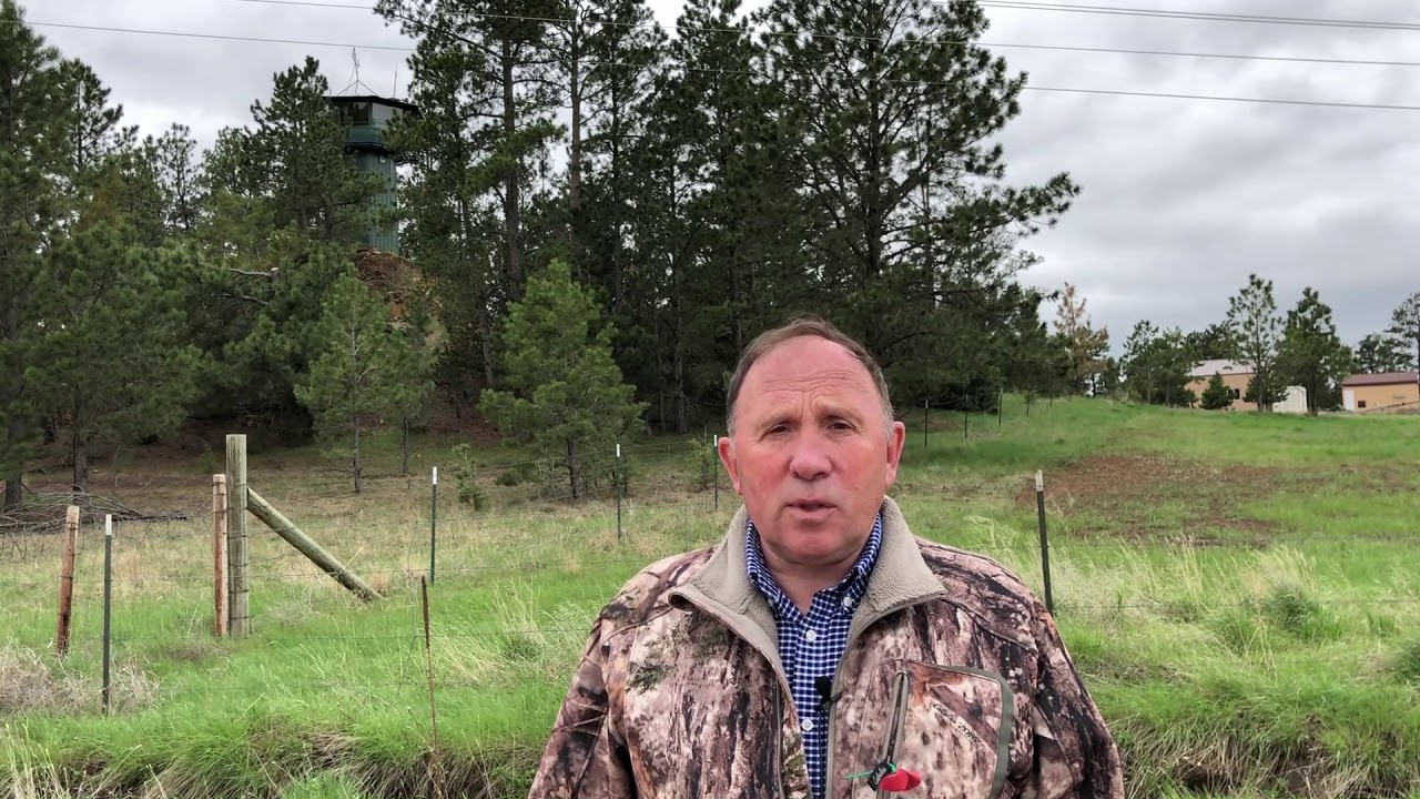 "Something needs to be done" regarding FLDS compound - YouTube