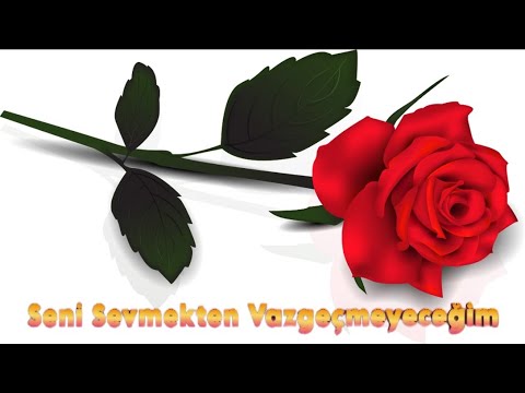 Seni Sevmekten Vazgeçmeyeceğim | Sesli Şiir