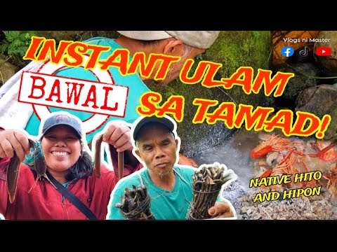 Native Hito, Pantak, Palos at Hipon huli sa Panunubli | BAWAL SA TAMAD | Vlogs ni Master - YouTube
