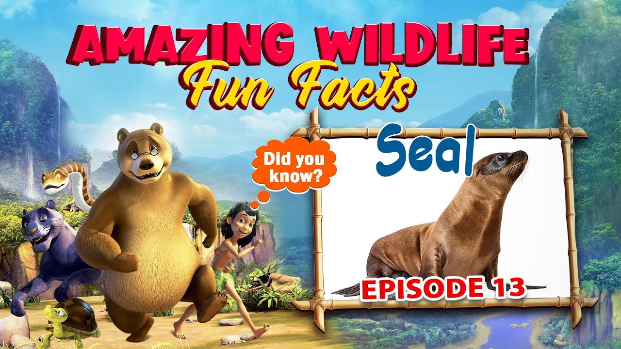 Amazing Wildlife | Jungle Book Safari Episode 13 - SEAL | Amazing ...