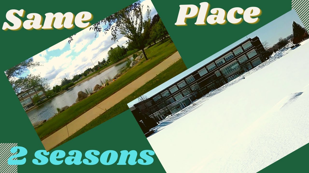Beauty of nature : 2 seasons (Summer & Winter) @same place #beauty ...