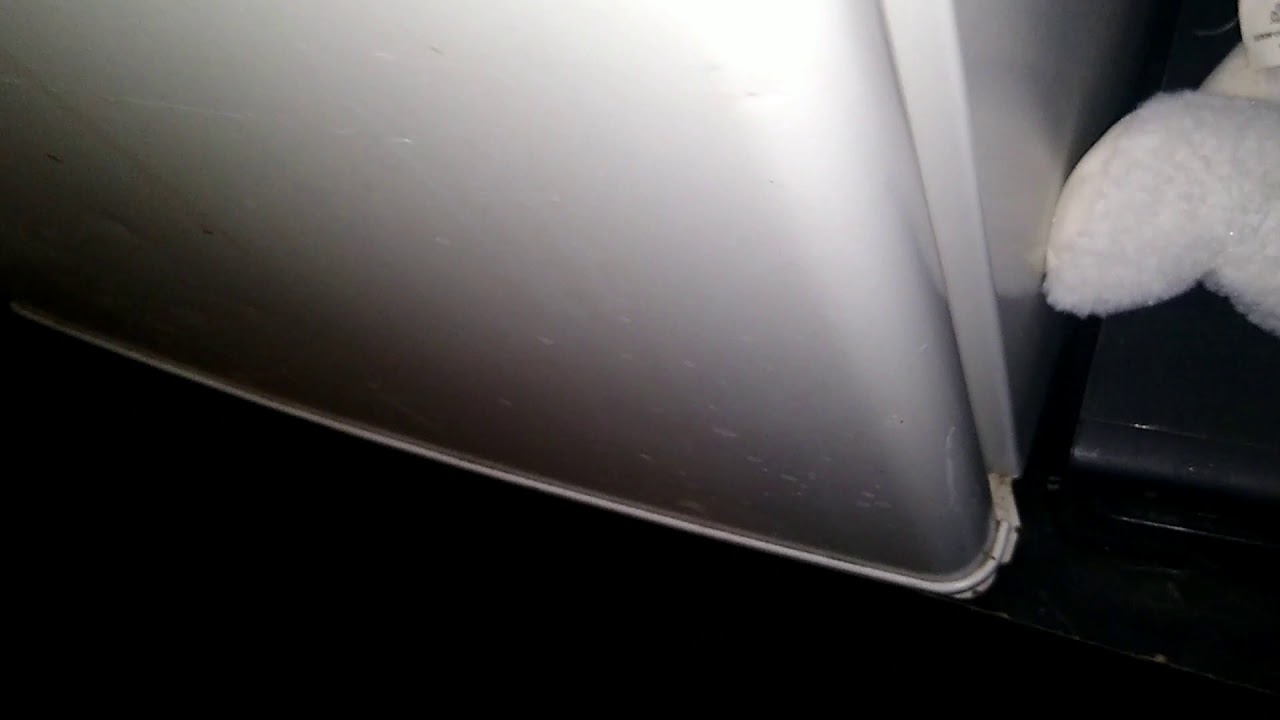 cat attacks xbox 360 Logo - YouTube