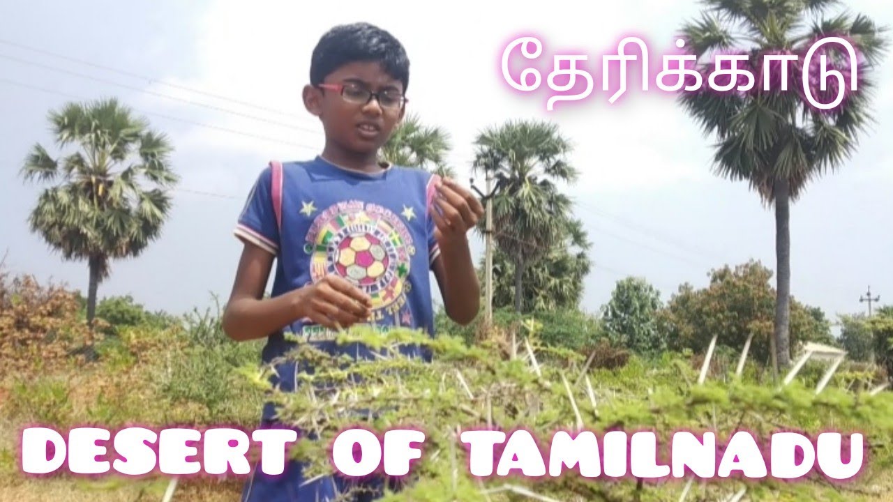 Desert of Tamilnadu - Theri Kaadu - தேரிக்காடு - YouTube
