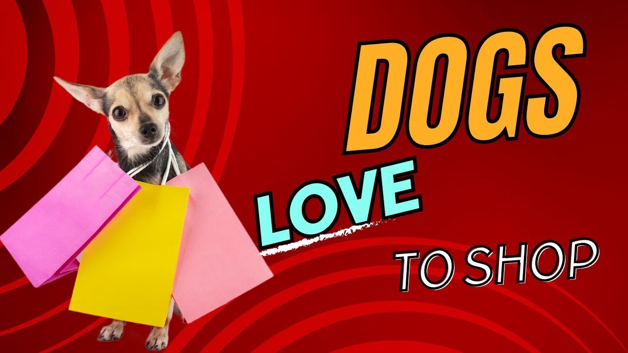 Dogs go Christmas shopping! - YouTube